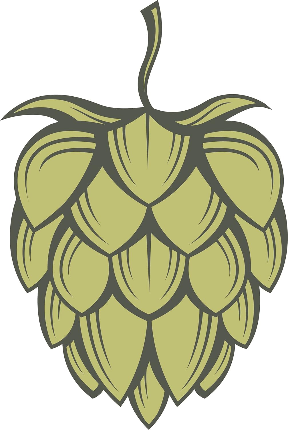 Amazon.com: Divine Designs Simple Green Hops Plant Flower Brewery ...