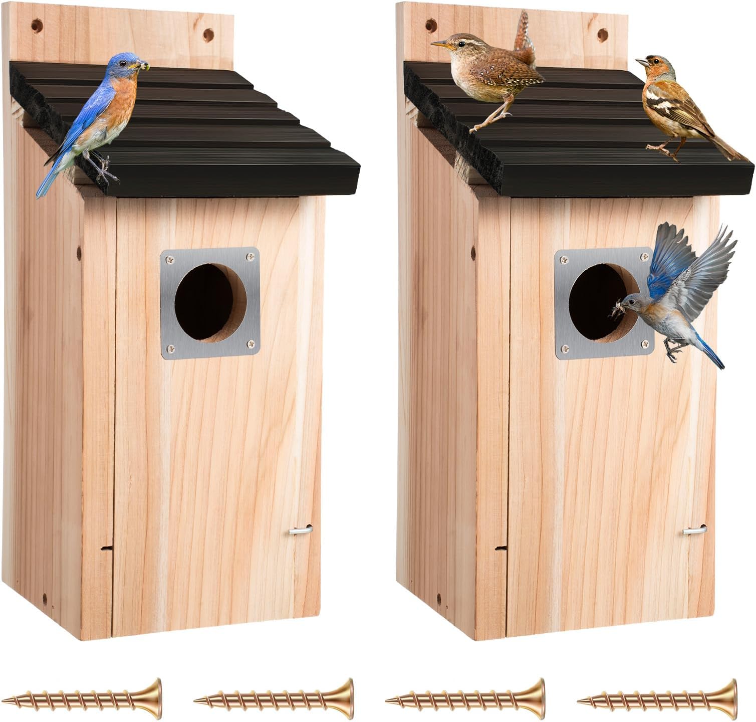 Amazon.com : Cedar Bluebird House, 13-Inch : Patio, Lawn & Garden