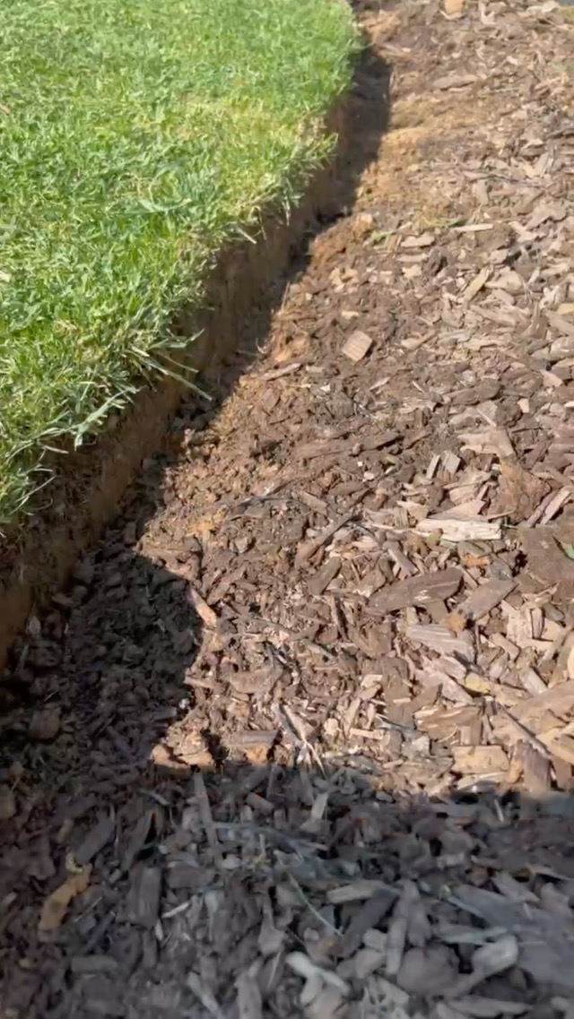 Watch Corona Edge Master on Amazon Live