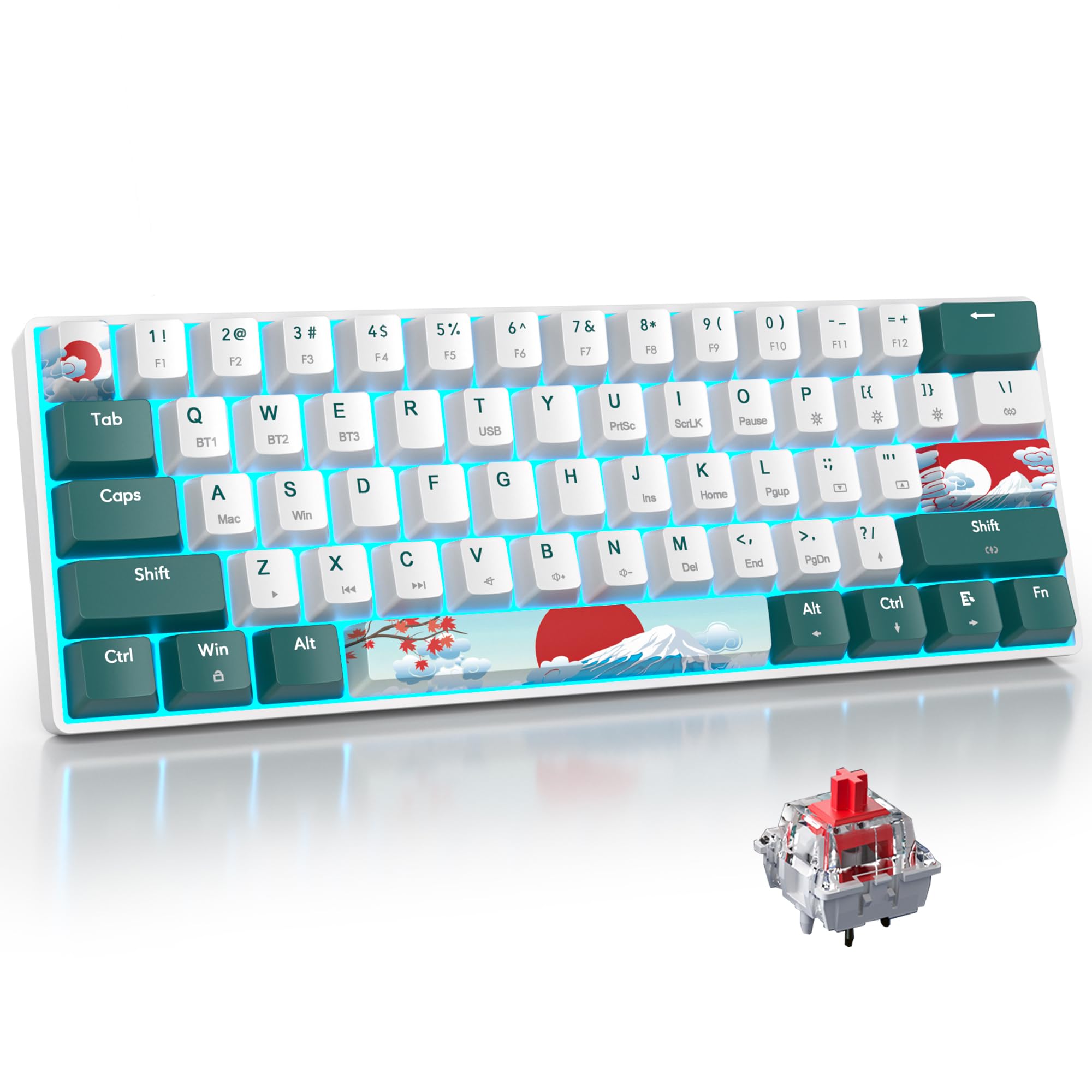 Amazon.com: surmen Wireless Keyboard 60% Gaming Keyboard 60 Percent ...
