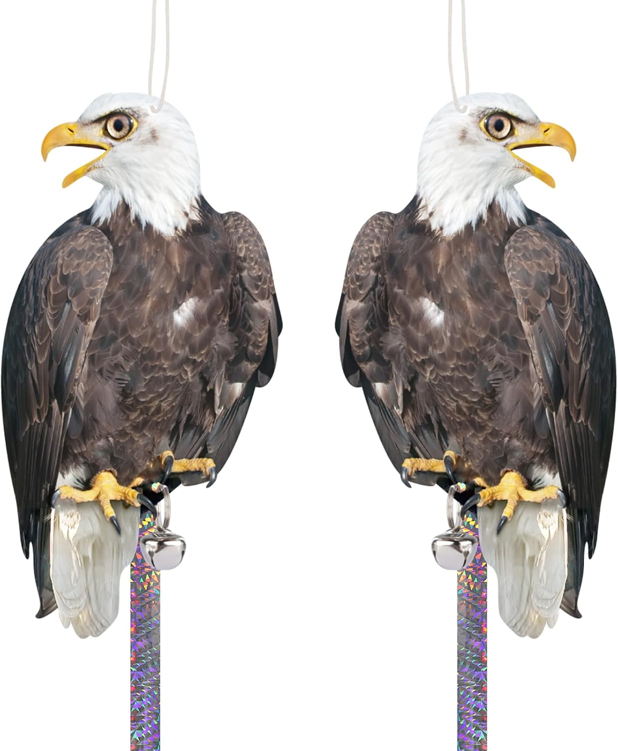 Amazon.com : 2PCS Plastic Hawk to Scare Pigeon Away from Balcony Porch ...