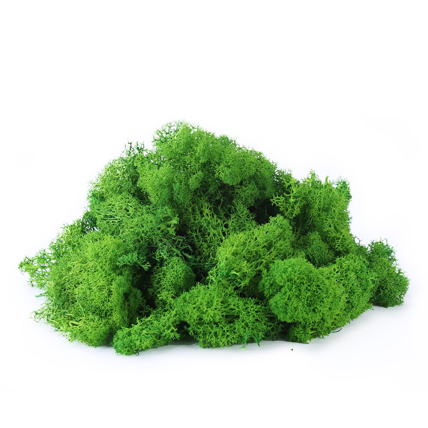 IHKFILAN Reindeer Moss 100Gram Real Preserved Natural Moss for Crafts ...
