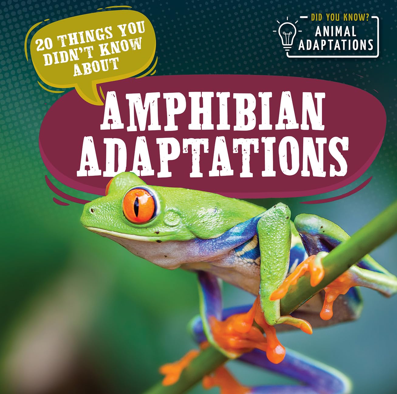 20 Things You Didn't Know About Amphibian Adaptations (Did You Know ...