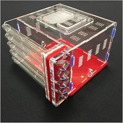 Ant Farming Boxes， DIY 5 Test Tube Ant Nest Acrylic Farm With Feeding ...