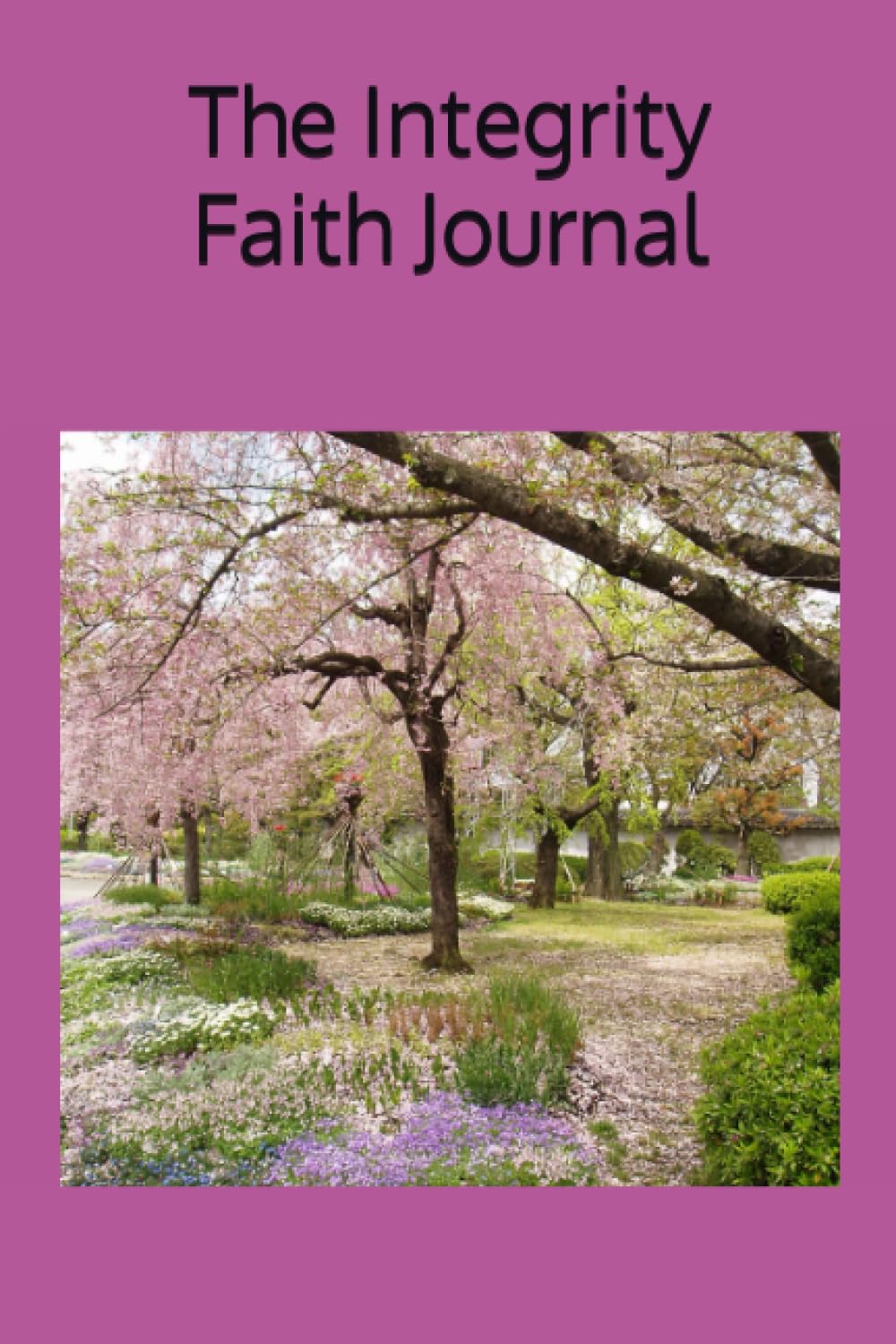 The Integrity Faith Journal by Angela Lee: Lee, Mrs Angela: Amazon.com ...