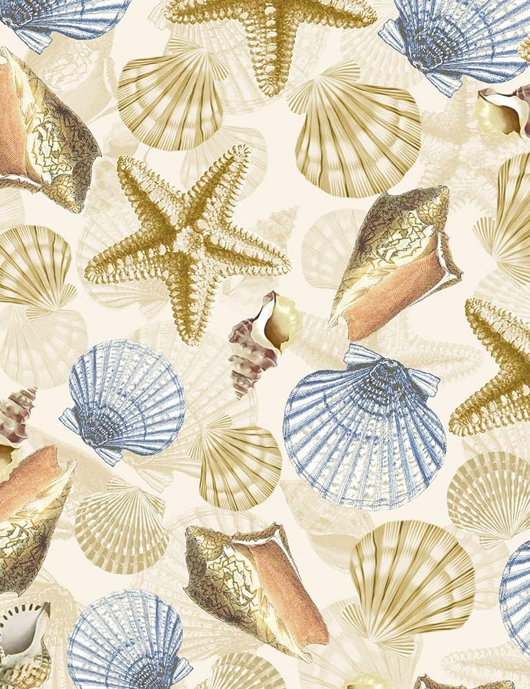 Amazon.com: Timeless Treasures Ocean Breeze Mixed Tossed Seashells 15 ...