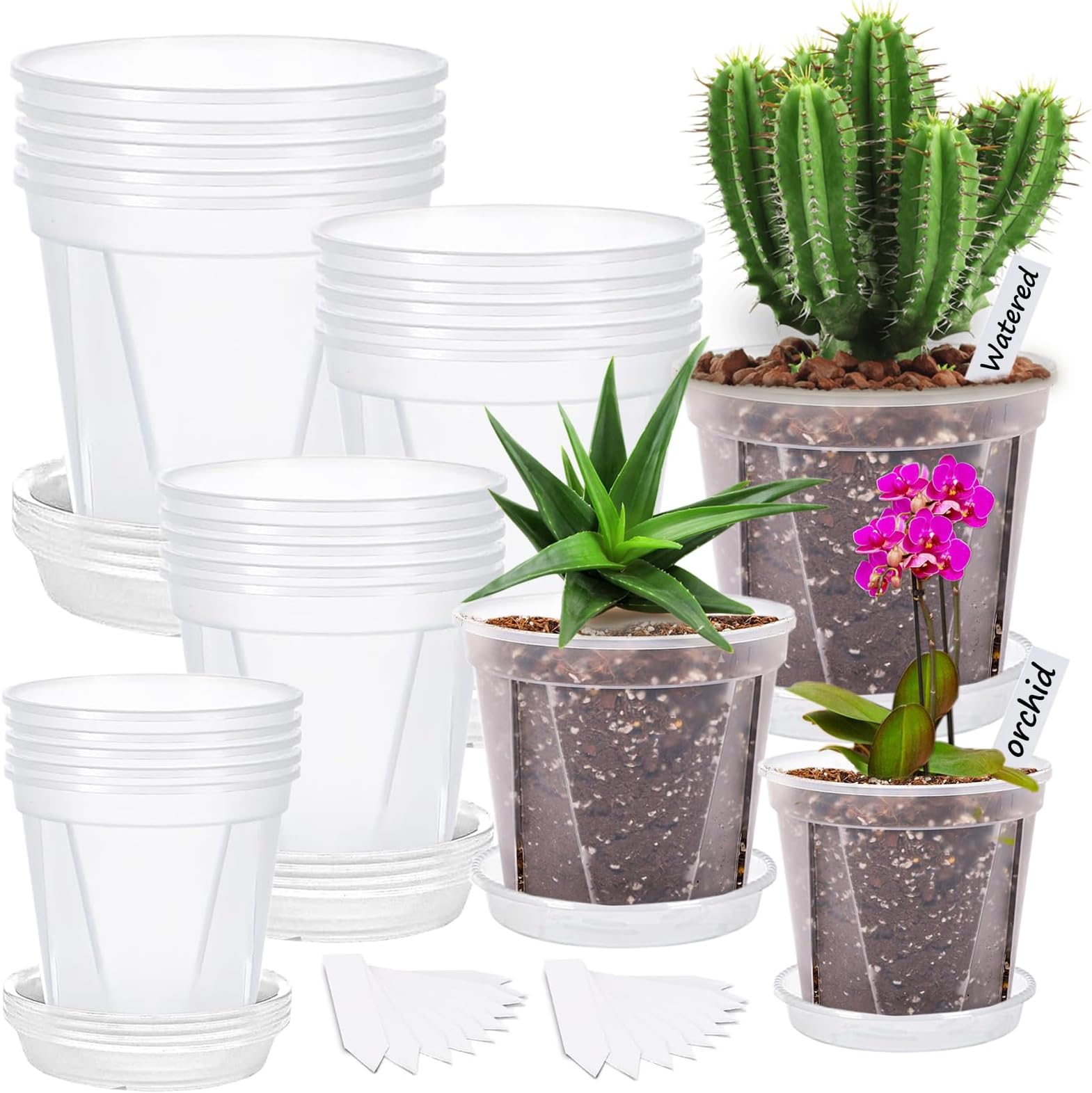 Amazon.com: Artuxer 40Pack 4/5/6/7 inch Plastic Clear Nursery Pots with ...