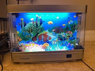 Amazon.com : Playlearn Fake Fish Tank Mini Aquarium - Artificial Fish ...