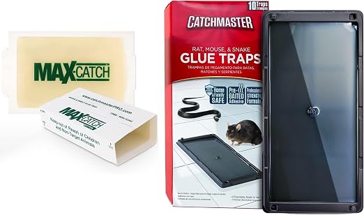 Amazon.com : Catchmaster Mouse & Pest Glue Board Bundle, 36 Glue Boards ...