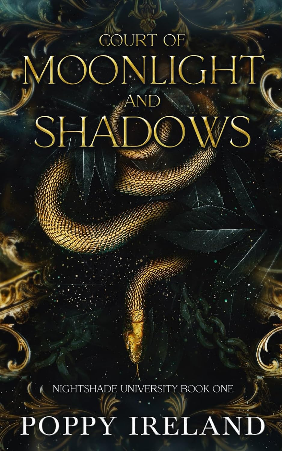 Amazon.com: Court of Moonlight and Shadows: A Gothic Dark Academia Fantasy Romance (Nightshade ...