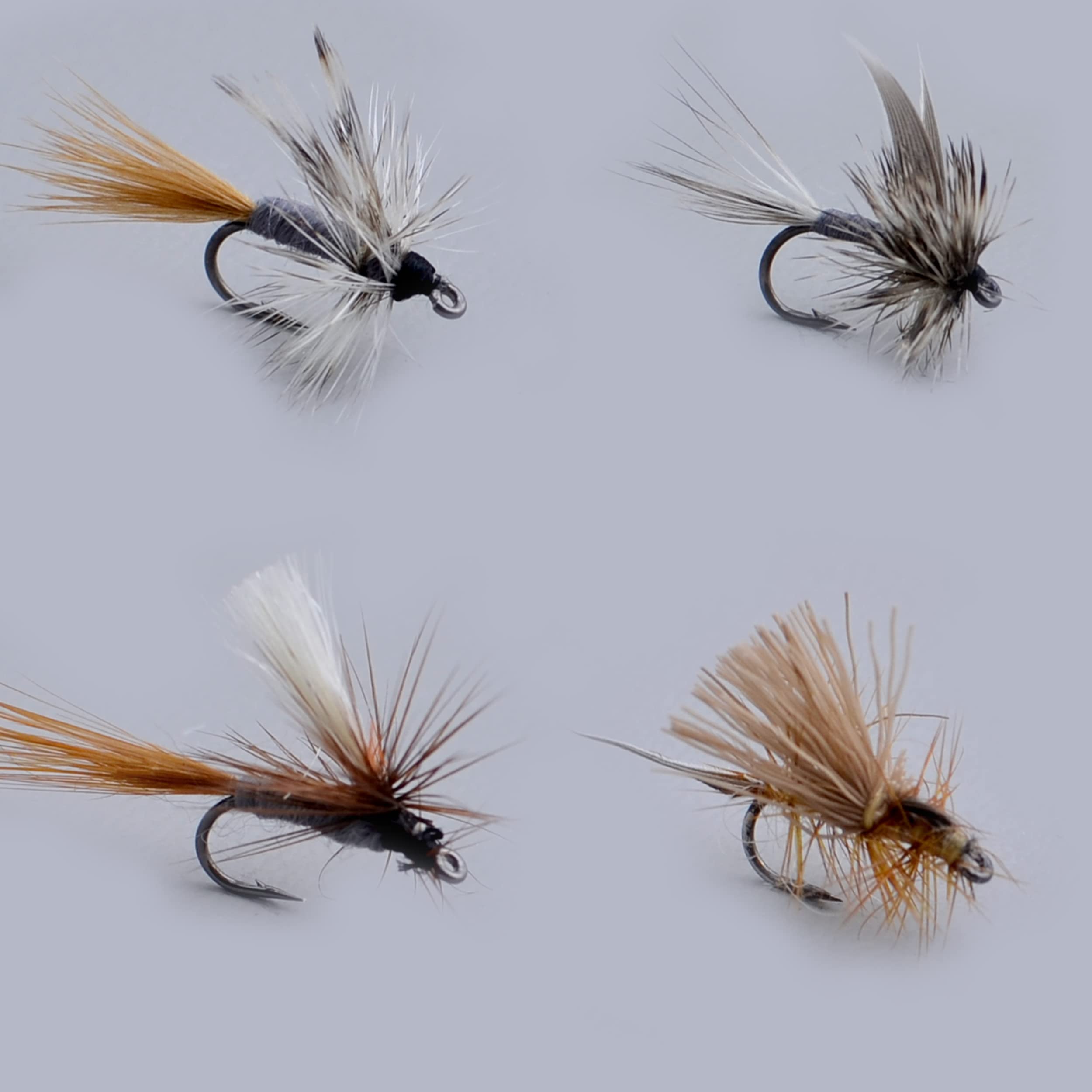 Snapklik.com : Fly Fishing Dry Flies/A Dozen/Caddis Parachute/DORATO ...