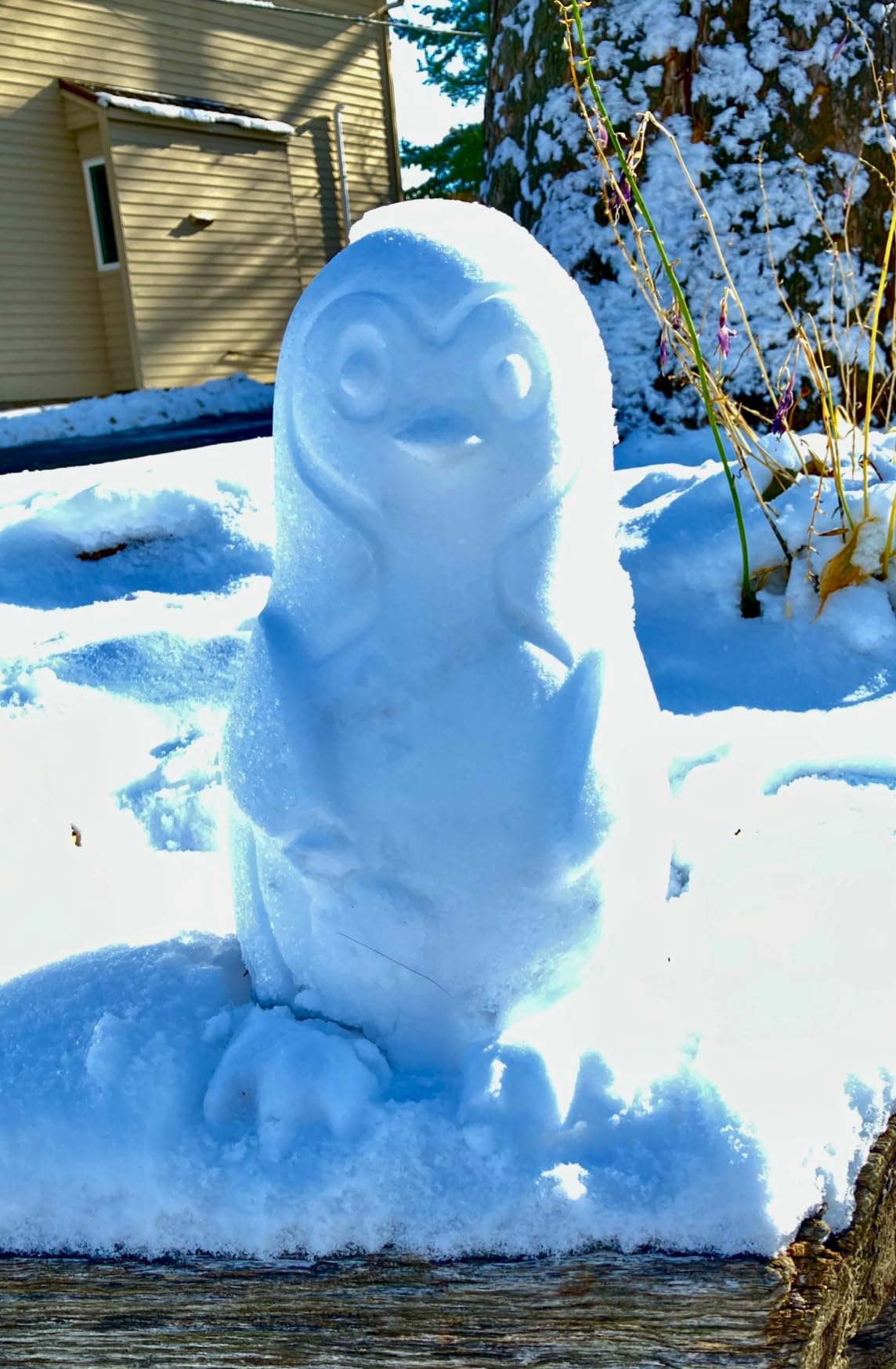 Amazon.com: Slinky 400130-2 Ideal SNO Toys SNO-Buddy Penguin : Toys & Games