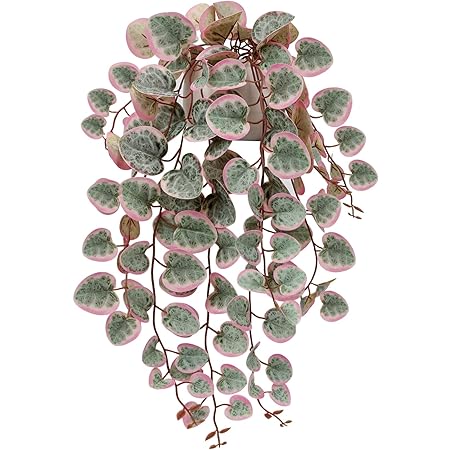Amazon.com: Briful Fake Plants 16'' Artificial String of Hearts Plants ...