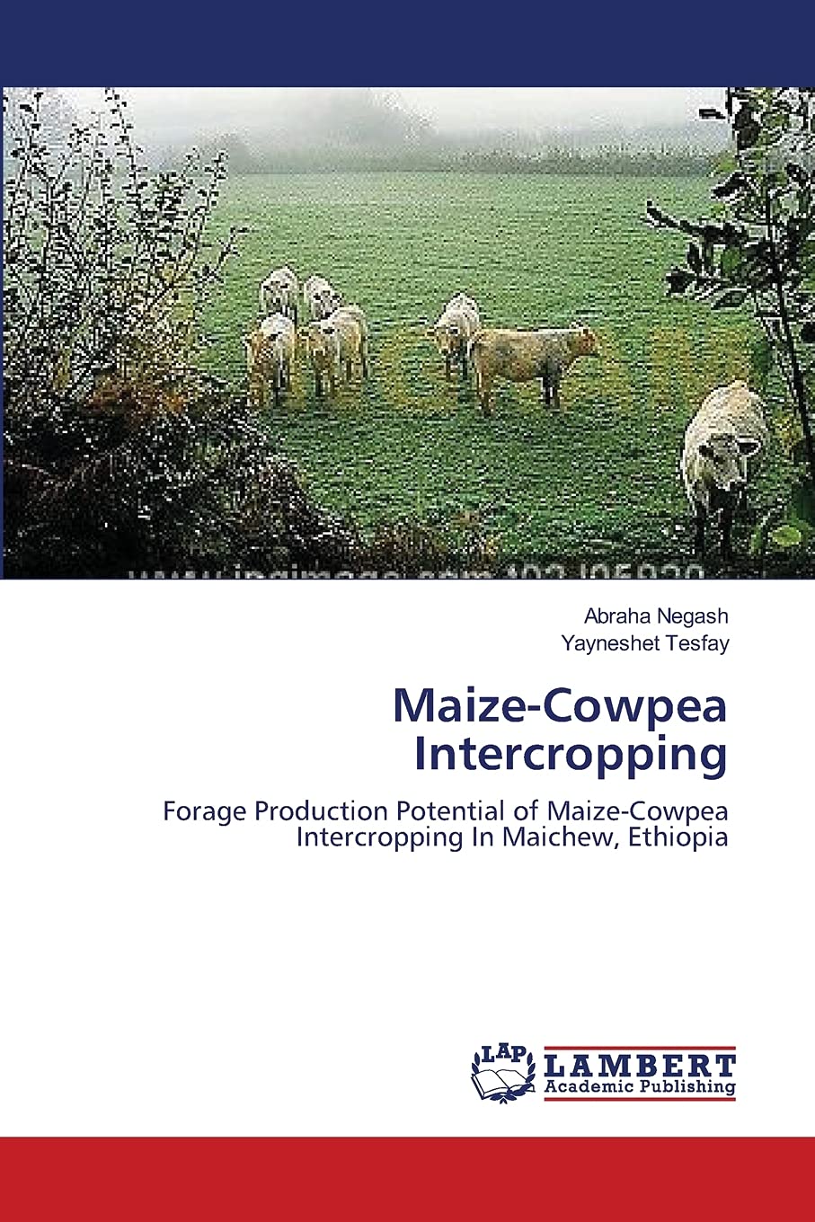 Maize-Cowpea Intercropping: Forage Production Potential of Maize-Cowpea ...