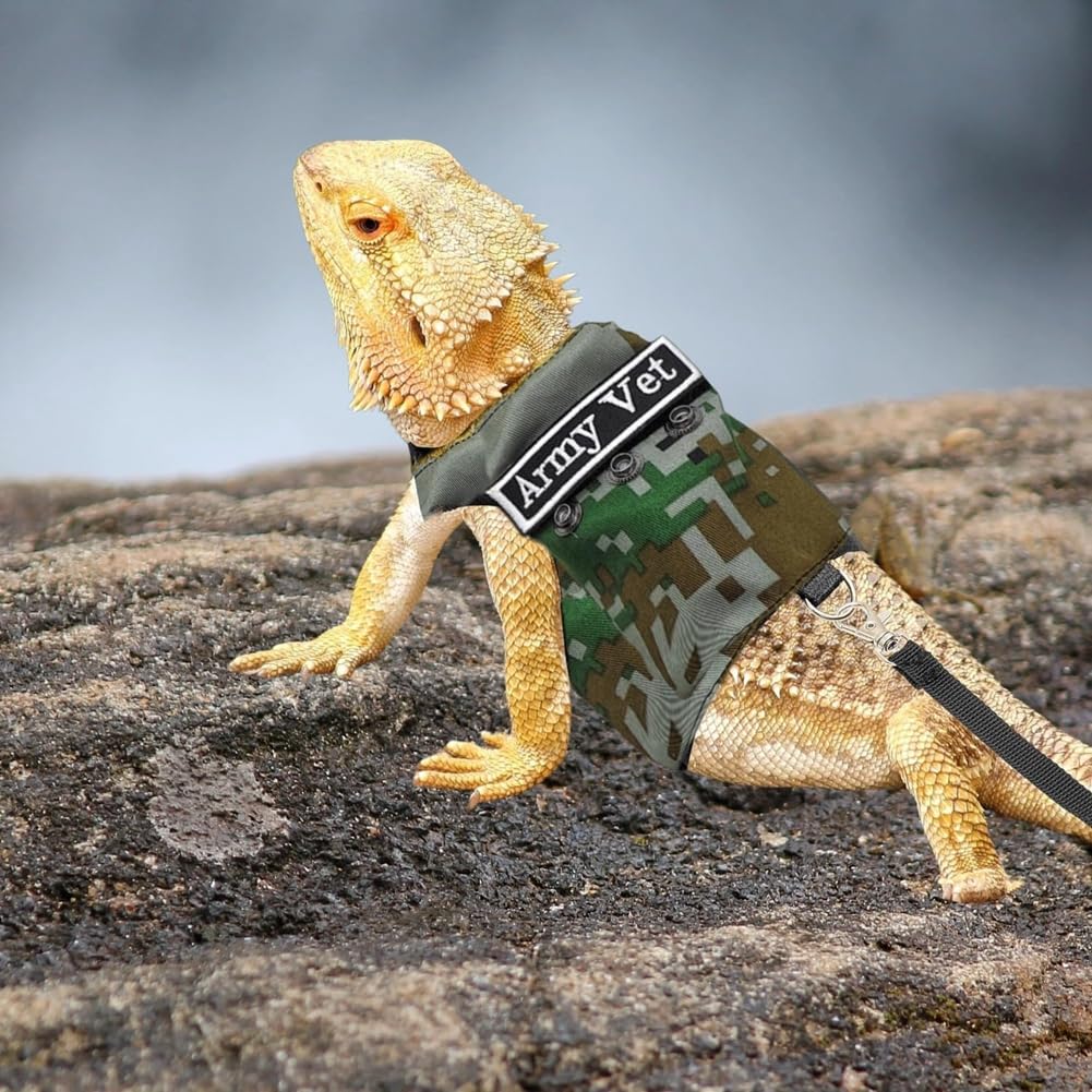 Outdoor Lizard Leash With Hat Paigesleashes Reptile Leash & Harness ...