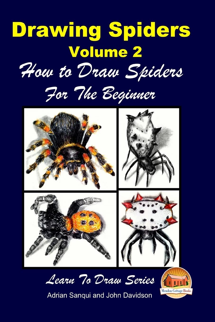 Drawing Spiders Volume 2 - How to Draw Spiders For the Beginner: Sanqui ...