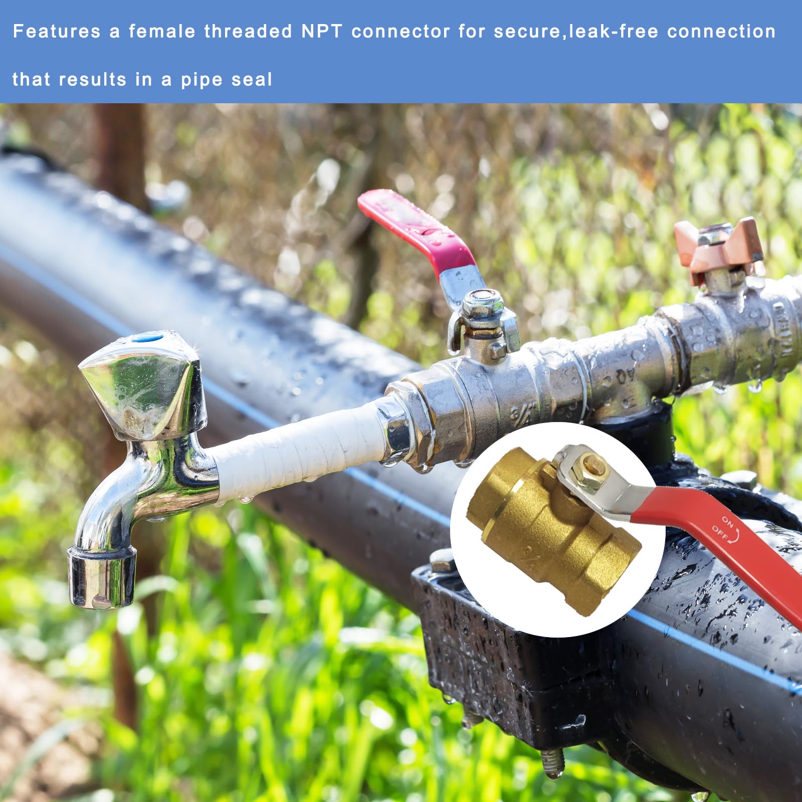 Snapklik.com : Sphagaceae 1/2 Inch NPT Female Threaded Ball Valve - 600 ...
