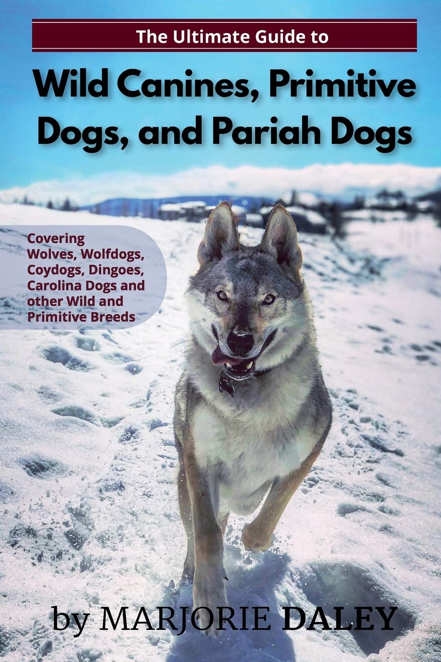 The Ultimate Guide to Wild Canines, Primitive Dogs, and Pariah Dogs: An ...