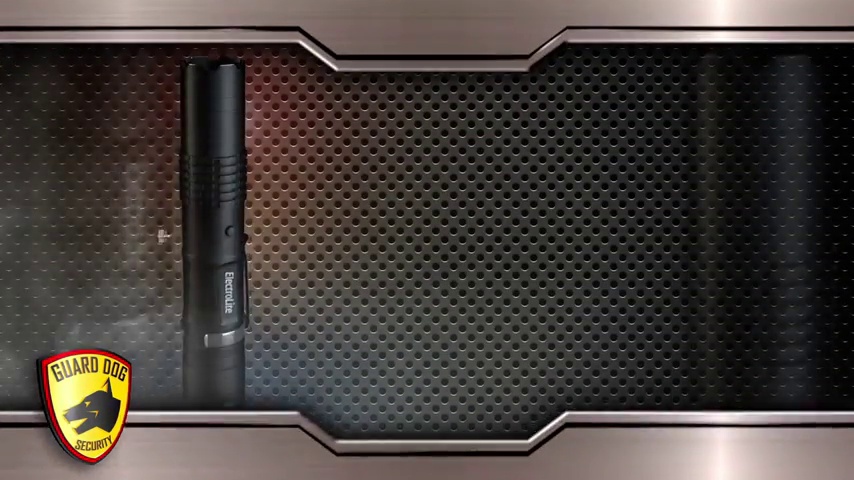 Watch Guard Dog ElectroLite Compact Tactical Stun Gun Flashlight with ...