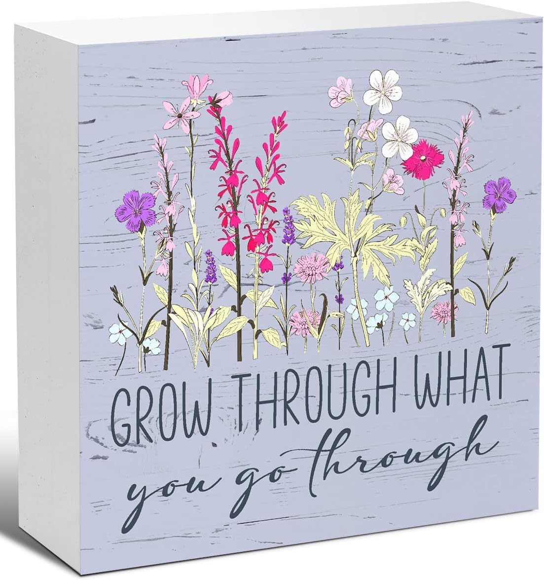Amazon.com: LVQHI Inspirational Pink Blue Wood Block Sign, Motivational ...