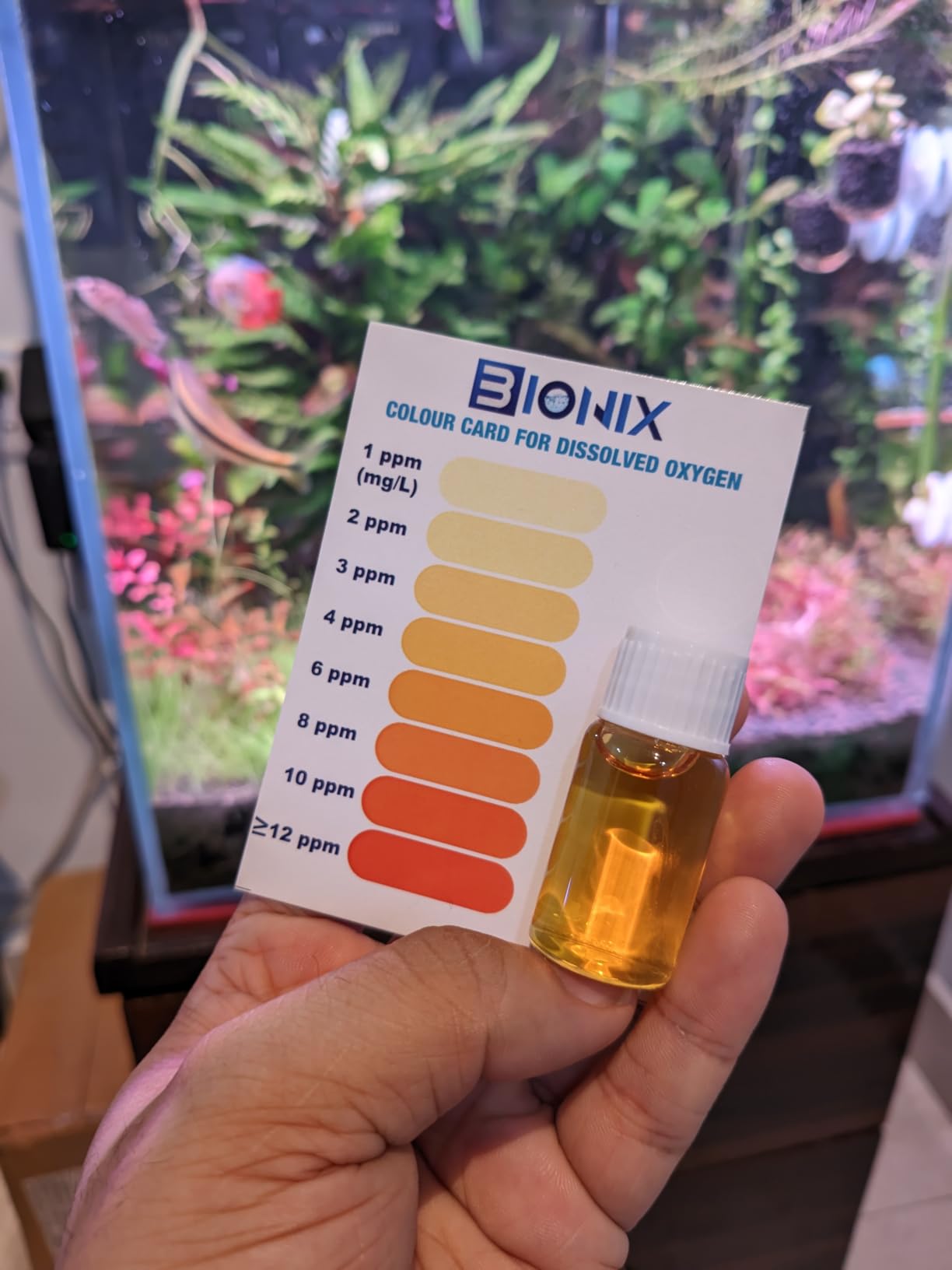 BIONIX Dissolve Oxygen Test Kit (100 Test) : Amazon.in: Pet Supplies