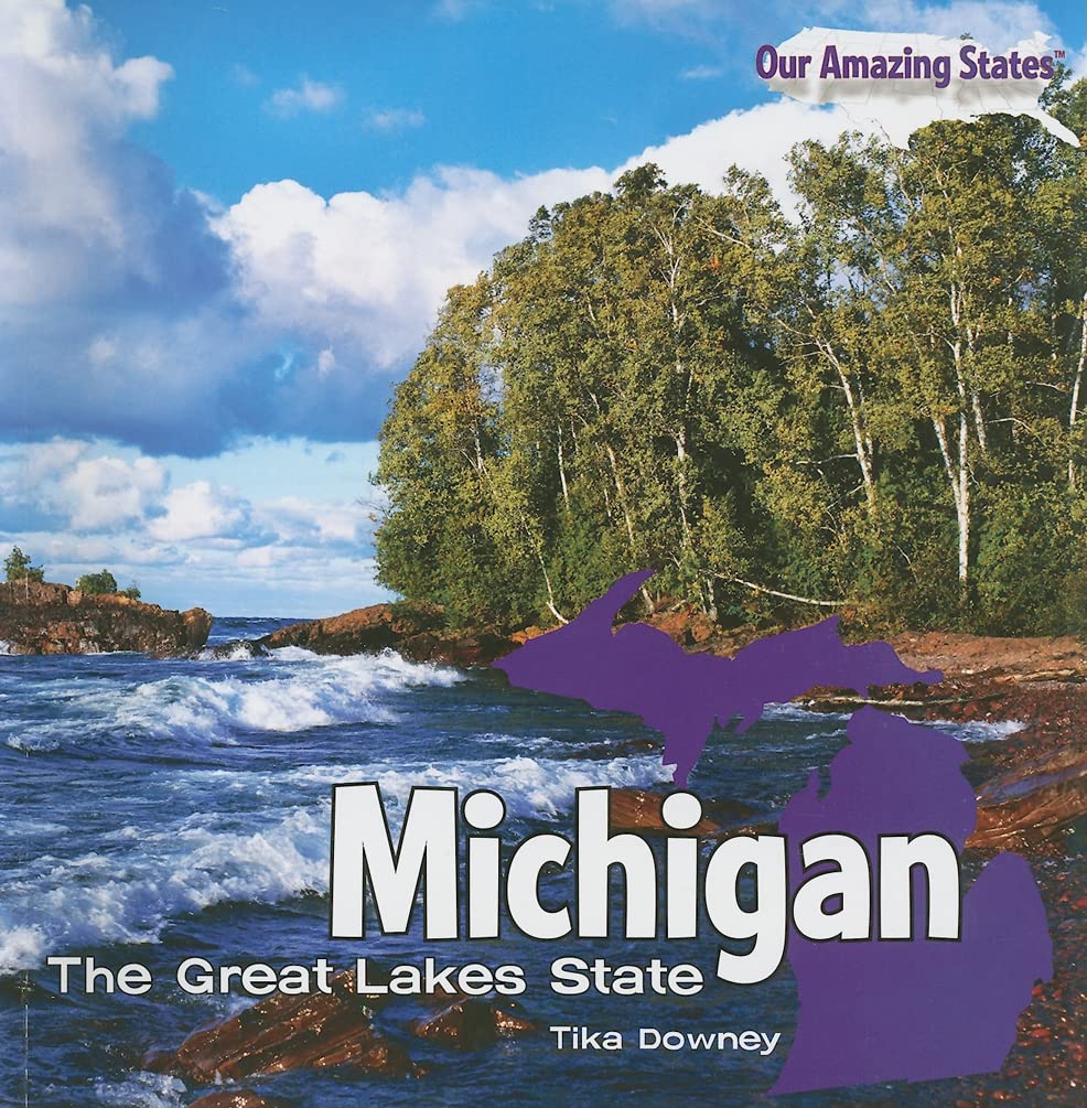 Michigan: The Great Lakes State : Buy Online at Best Price in KSA ...