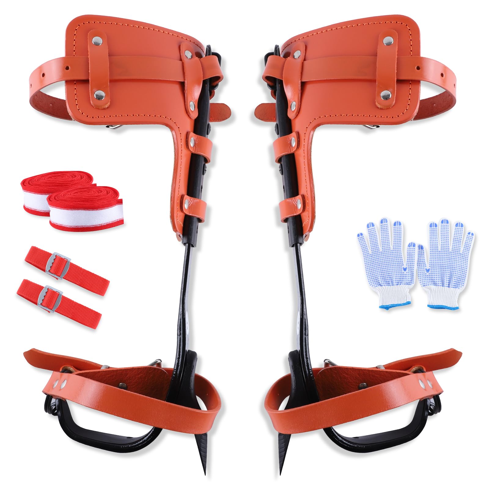 Amazon.com : Jidaonop Upgraded Leather Tree Climbing Spikes Set, Tree ...