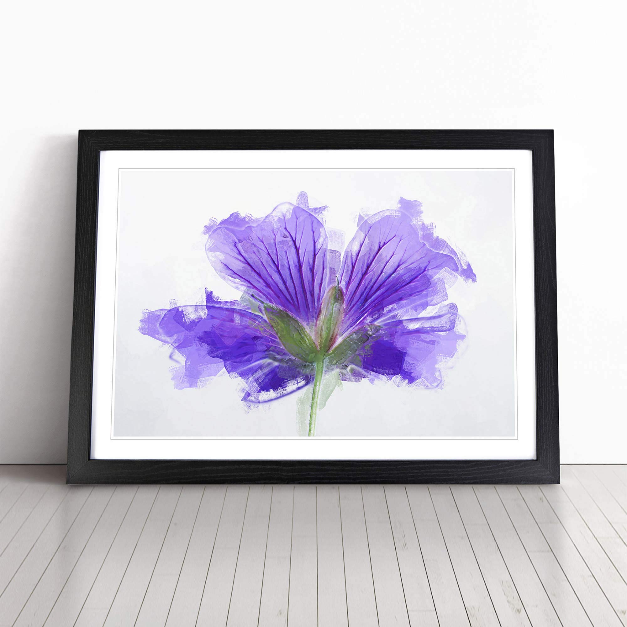 Geranium Plant Drawing Geranium Plant Illustration Stock Illustration