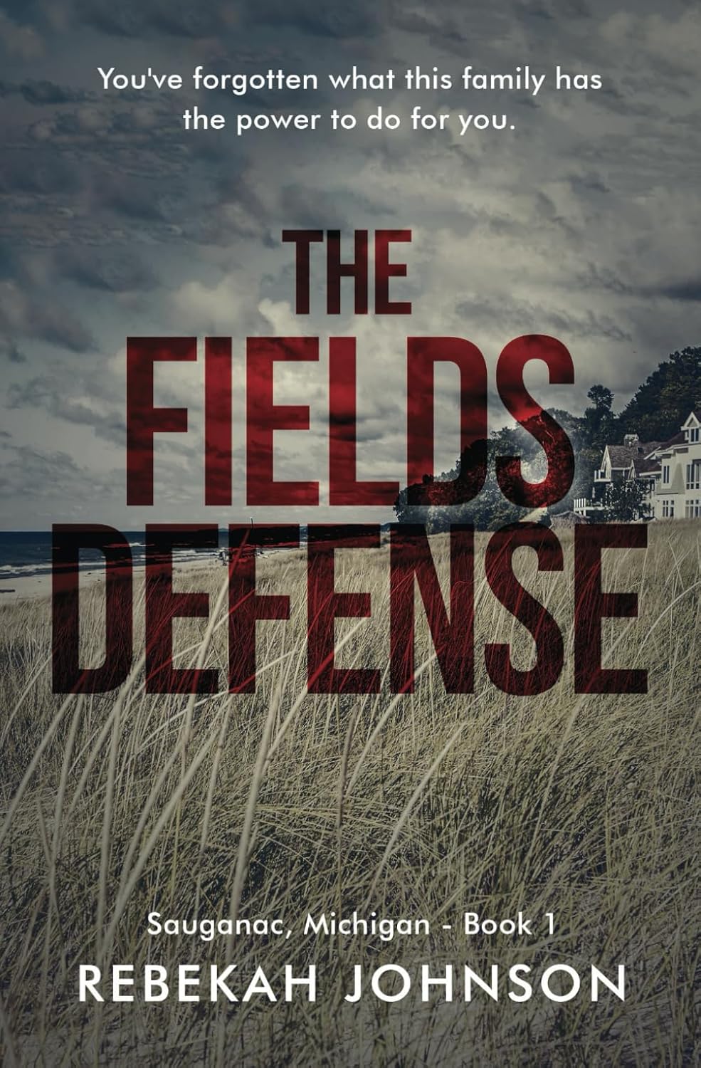 The Fields Defense (Sauganac, Michigan Thrillers): Johnson, Rebekah ...