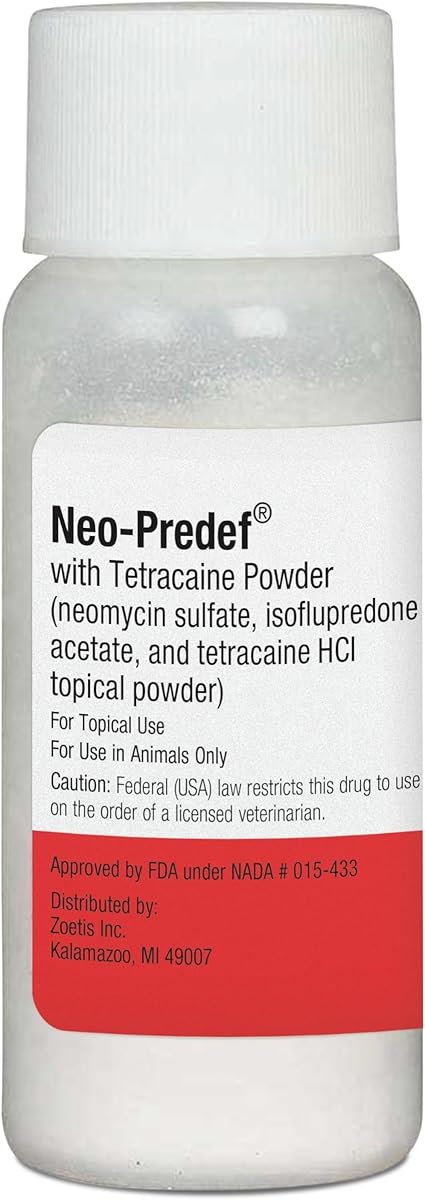 Amazon.com: Neo-Predef with Tetracaine (neomycin sulfate, isoflupredone ...