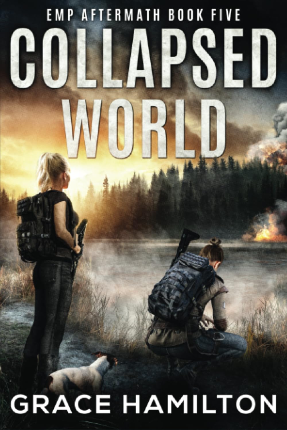 Collapsed World (EMP Aftermath): Hamilton, Grace: 9798397305648: Amazon ...
