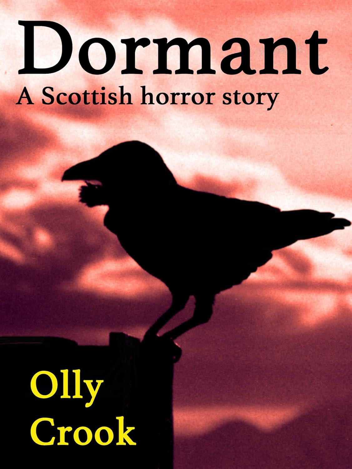 Amazon.com: Dormant: A Scottish horror story eBook : Crook, Olly ...