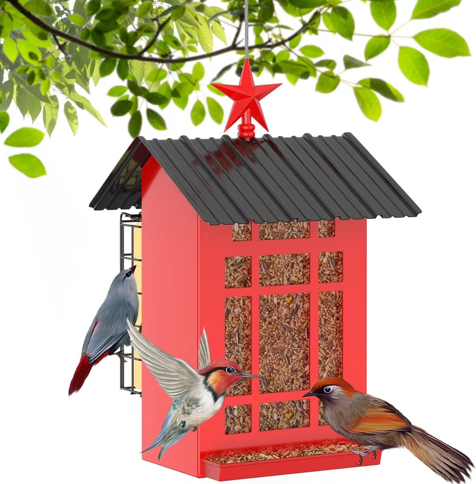 Amazon.com : Metal Squirrel Proof Bird Feeder,Bird Feeders for Outdoors ...