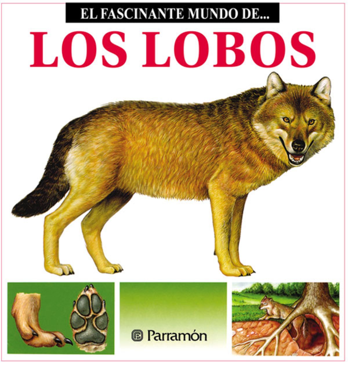 Amazon.com: Los Lobos (Spanish Edition) eBook : Julivert, Maria Àngels ...