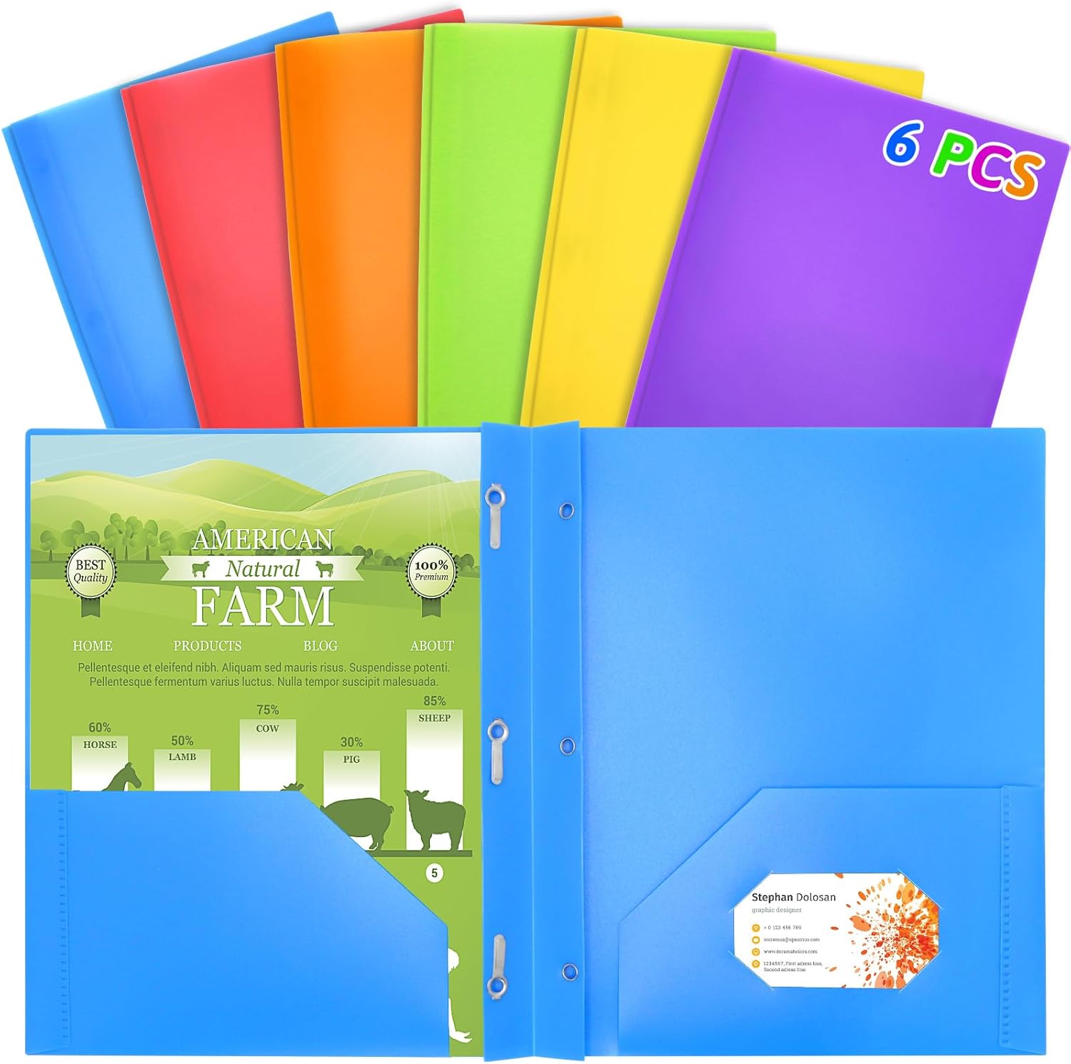 Amazon.com : 6 Packs Plastic Folders with Pockets and Prongs ...