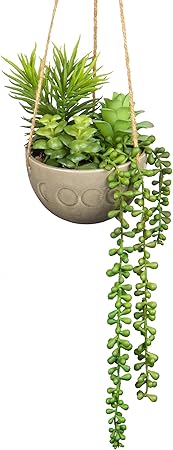 Hollyone Artificial Hanging Plants, Fake Potted Succulents with Hemp ...