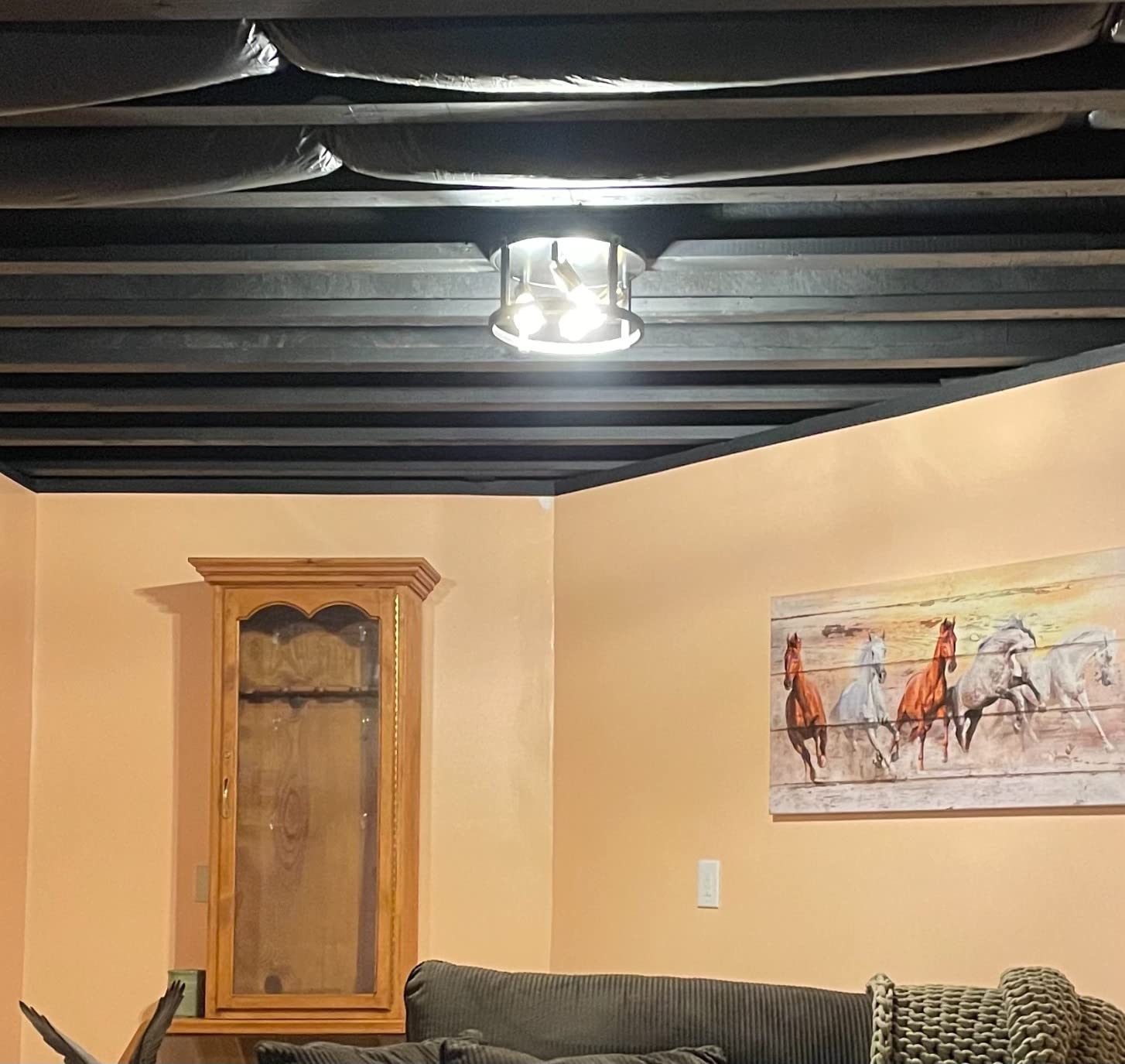 Ejerlya 3-Light Industrial Ceiling Light Fixtures,Farmhouse Metal Cage ...