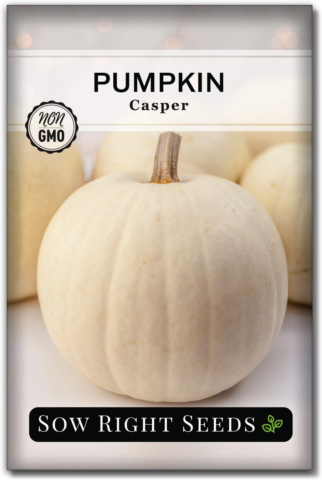 Amazon.com : Kakai Hulless Oilseed Pumpkin - 25 Seeds - Austrian Pumpkin Variety, Styrian ...