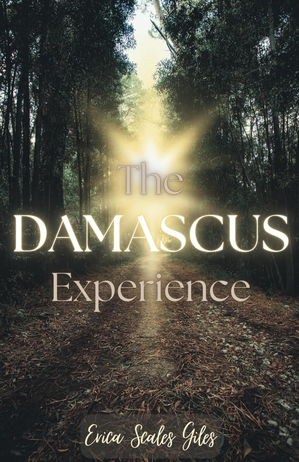 The Damascus Experience: Scales Giles, Erica: 9798218291006: Amazon.com ...