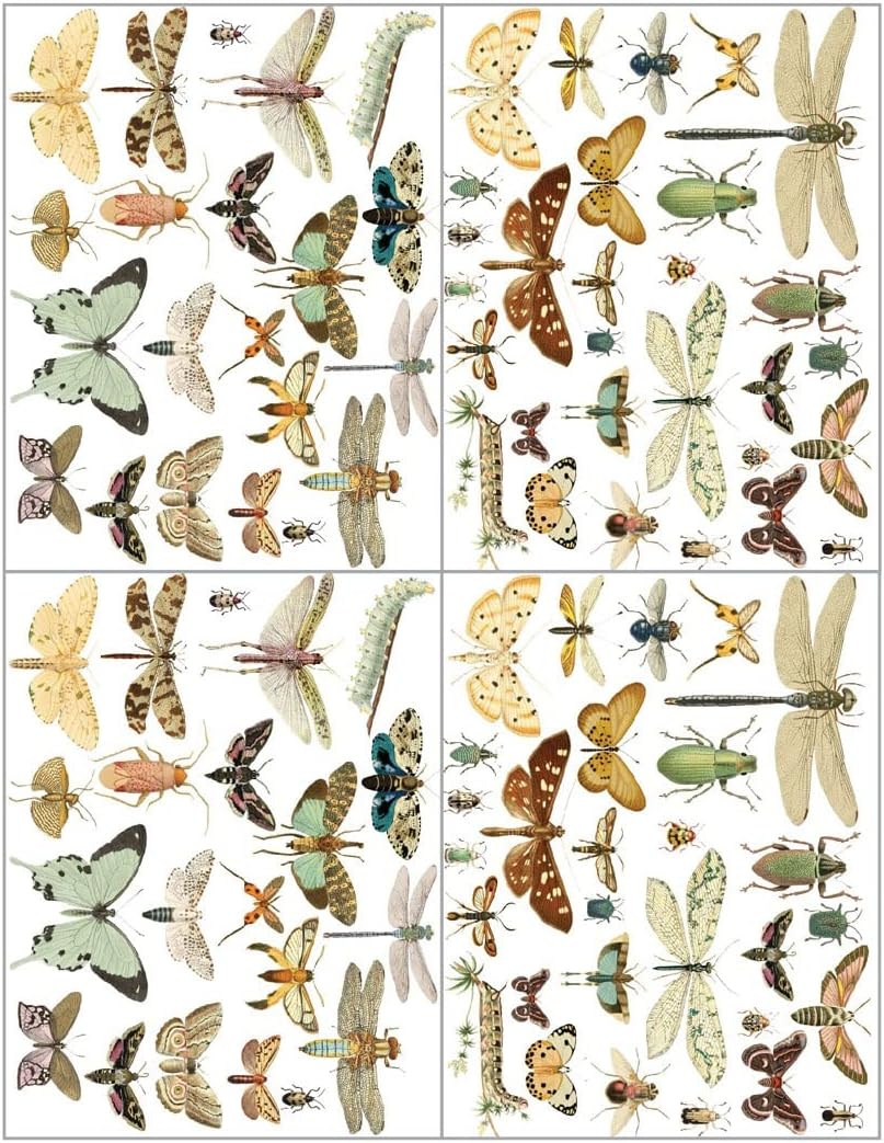 Amazon.com: Entomology Sublimation Paper,Infusible Transfer Ink Sheets ...