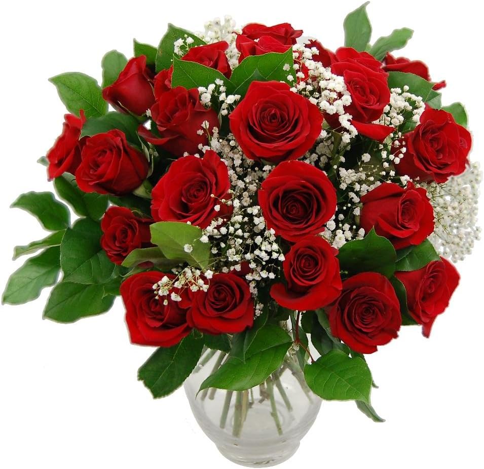 Clare Florist Promised 24 Red Roses Fresh Flower Bouquet - Gorgeous Red ...