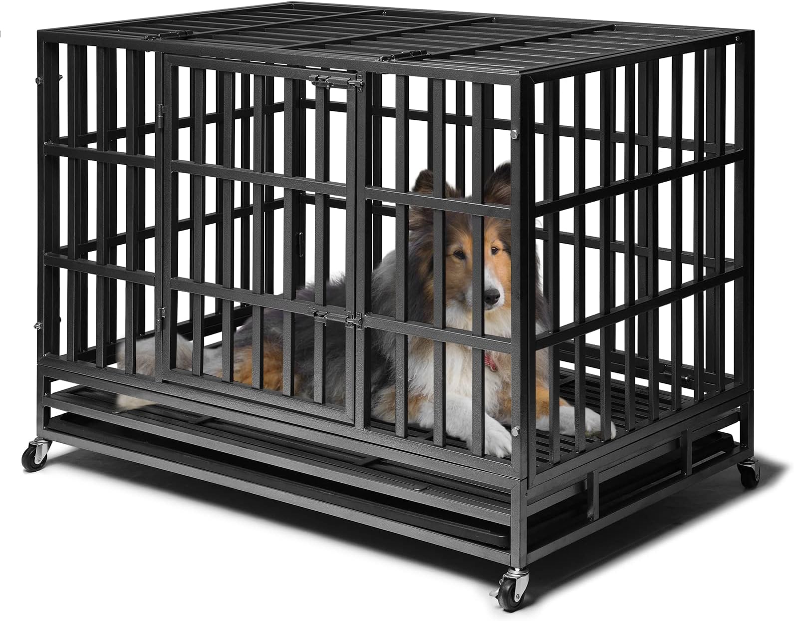 Amazon.com : 48 inc Heavy Duty Dog Kennel Crate Cage with Strong Metal ...