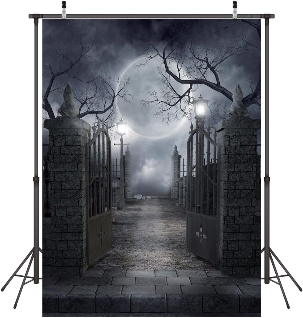 Amazon.com : LYWYGG 5X7FT Halloween Horror Backdrops Iron Gate Moon ...