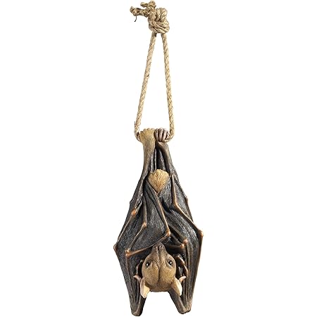 Amazon.com: Design Toscano QM28985 Vampire Bat - Hanging Mega Bat ...