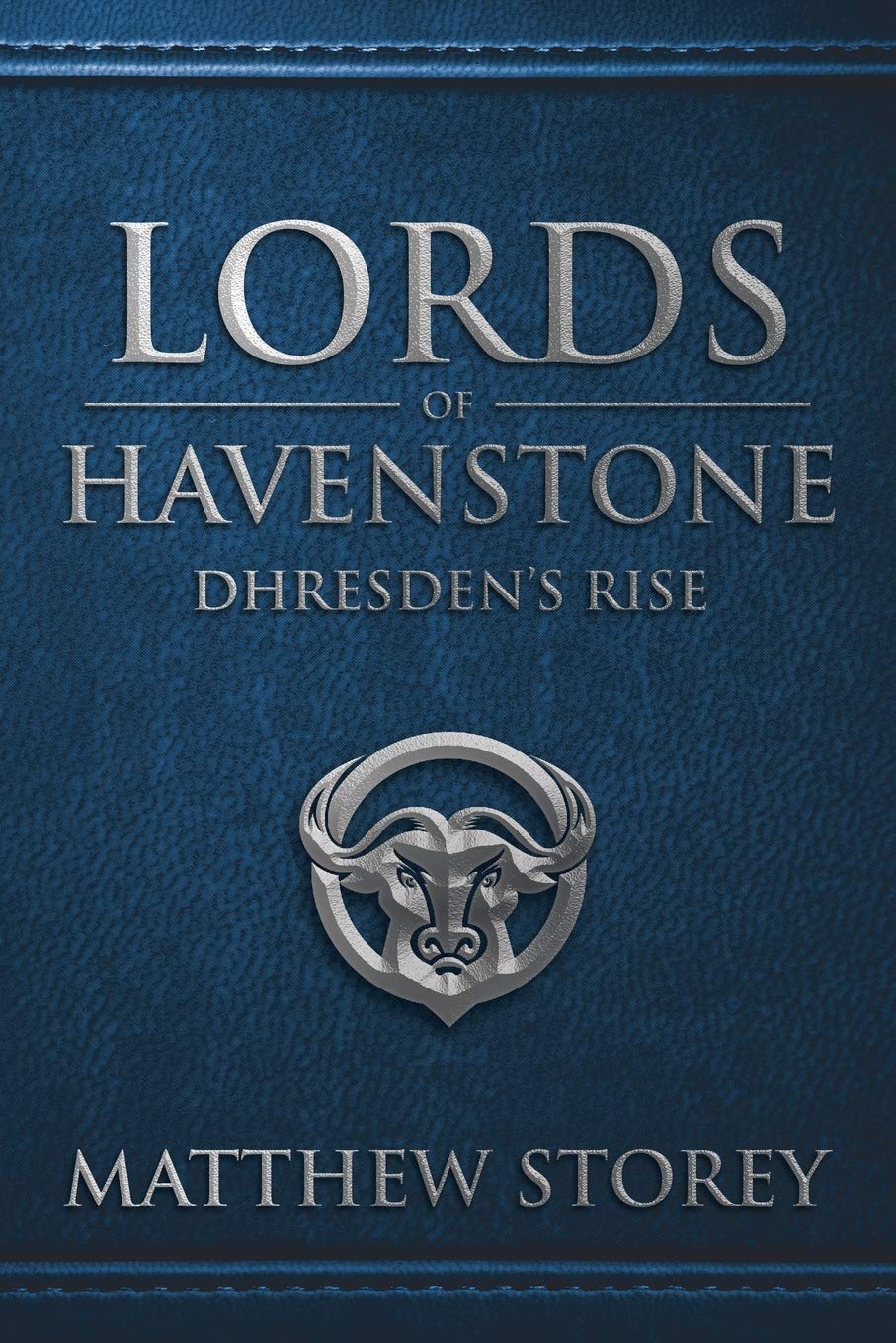 Amazon.com: Lords of Havenstone: 9781641148580: Storey, Matthew: Books
