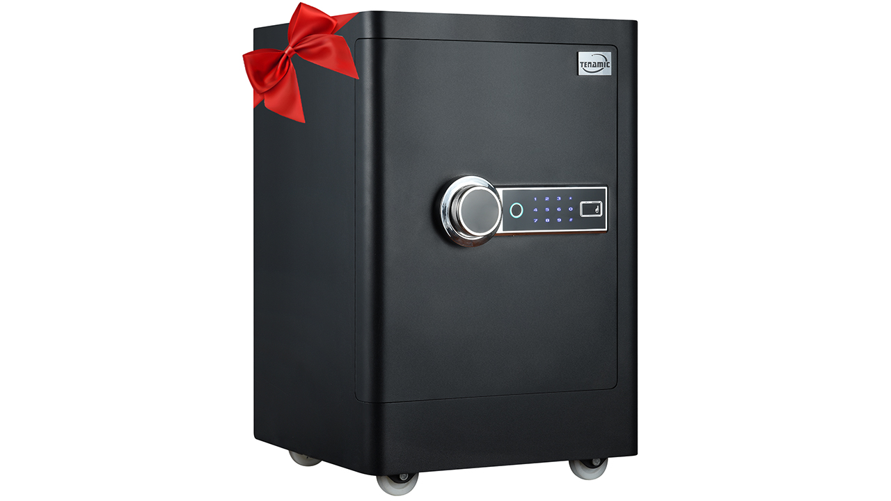 Watch Tenamic Biometric Fingerprint Safe Box TC-series on Amazon Live
