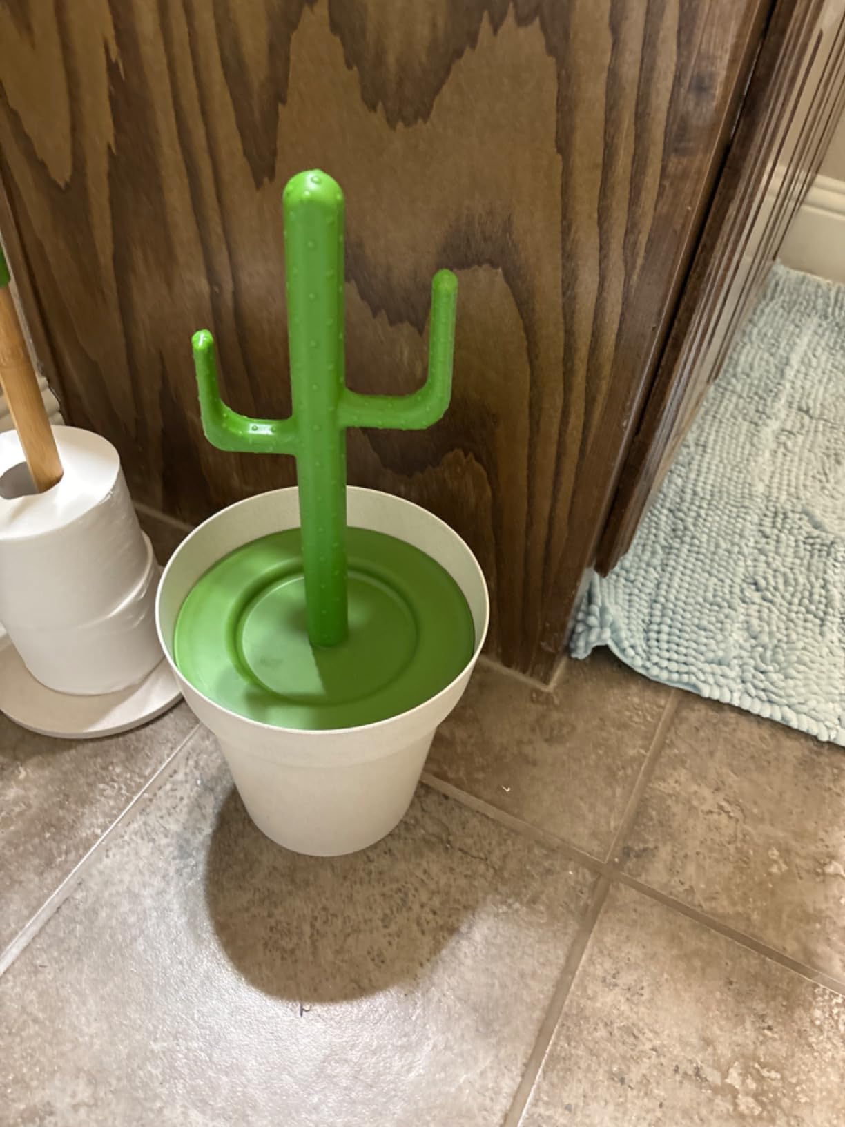 Amazon.com: Vigar Cactus Bathroom 3 Liter Trash Bin with Lid, Cactus ...