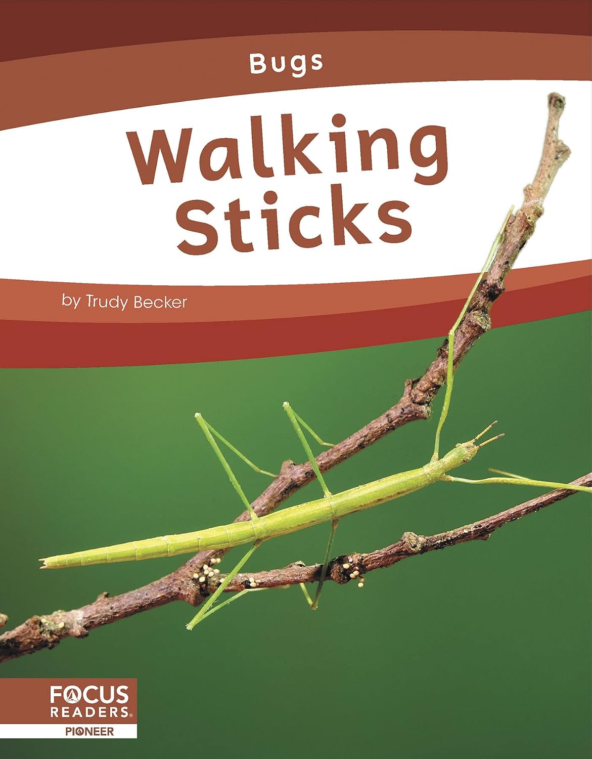 Walking Sticks (Bugs): Trudy Becker: 9781637394908: Amazon.com: Books