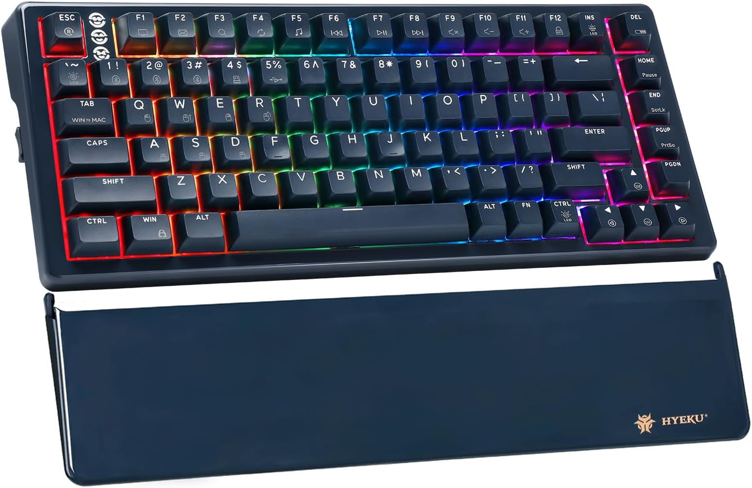 Amazon.com: Hexgears E2 Pro Wireless Mechanical Keyboard, RGB Backlit ...