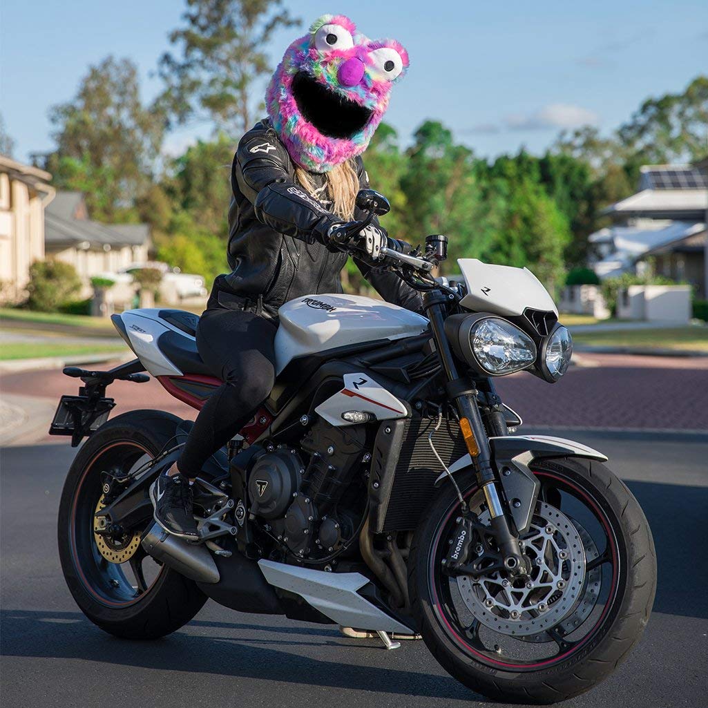 Muppet Motorcycle Helmet | Reviewmotors.co